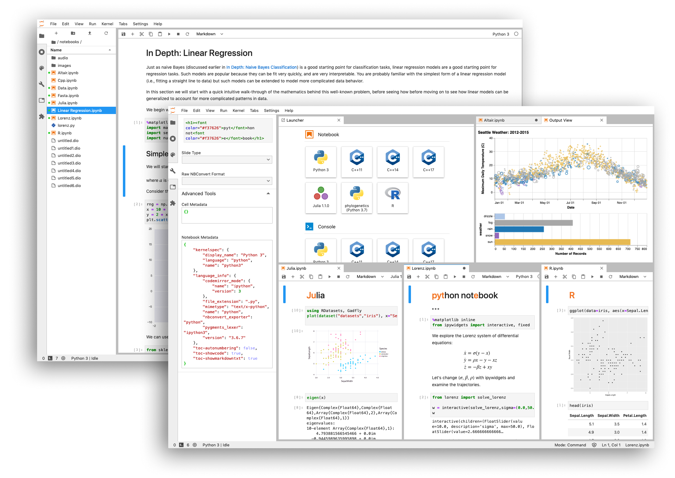 Jupyter Notebooks